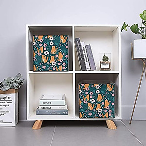 DamTma Cute Orange Cats Collapsible Storage Bins Flowers Fabric Storage Cubes with Handles Basket Storage Organizer for Shelves Closet Bedroom Living Room 10.6 in