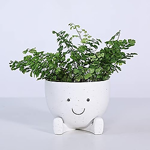 AIMEBBY Face Flower Pot Face Head Planter for Indoor Plants Succulent Planters with Drainage Hole Resin Planter 4 Inches
