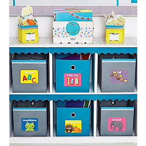 Schoolgirl Style - Just Teach | Library Labels Colorful Cut-Outs, Classroom Décor, 45 Pieces