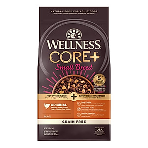 Wellness CORE+ (Formerly RawRev) Natural Grain Free Small Breed Dry Dog Food, Original Turkey & Chicken with Freeze Dried Turkey, 10-Pound Bag