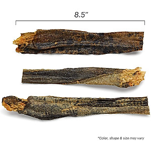 Pet Faves (3 Pack of 6oz) The Honest Kitchen Wolffish Ocean Chews Grain Free Dog Chew Treats – Natural Human Grade Dehydrated Fish Skins (6 oz Each) with 10ct Wipes