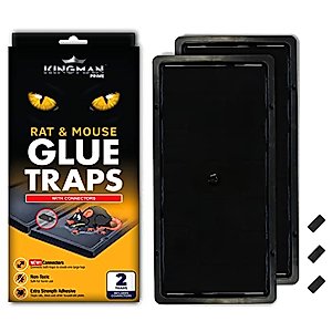 Kingman Prime Rat Mouse Rodent Pest Glue Trap (Large Size) Tray Heavy Duty (5 Pack/ 10Traps) with Connectors