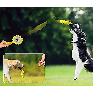 Knowish Dog Chew Toy Crab Shaped Throw and Catch Ring Toys Interactive Play Exercise Durable Rubber Tur of War Small Medium Breeds Pet Toy (Blue)