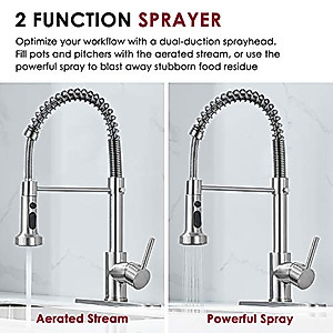 RODDEX Kitchen Faucet Stainless Steel Solid Brass Single Handle Single Hole Sink Faucets with Pause Button, 3 Hole Cover Deck Plate Pull Out Pullout Sprayer, Silver & Brushed Nickel …
