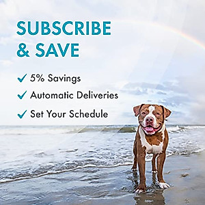 Nutramax Welactin Daily Omega-3 Supplement For Dogs, Skin & Coat Health Plus Overall Health, 60 Soft Chews