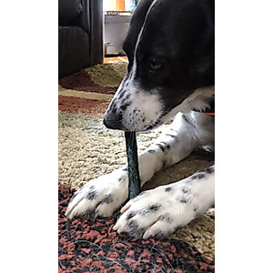 Top Dog Chews - Dental Turkey Tendon Sticks for Dogs, 1 LB / 16 OZ, Made in The USA, 100% Natural Treats for Dental Care and Stress Relief, Puppy Training Treats.