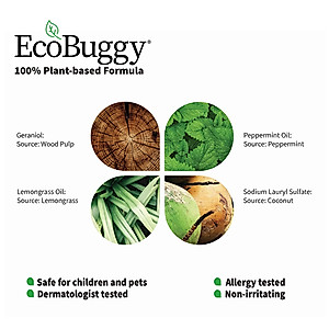 EcoBuggy Bed Bug Glue Trap, Glue Traps for Home & Travel Detect Bugs Before Infestation, Pack of 4
