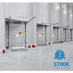 LEONLITE LED Loading Dock Light 50W, 45 Inch Double Swing Arm Dock Light, 360° Rotatable Light Head, 5700K IP65 Folding Double Arm Dock Lights for Trailers, Docks, Warehouses, Container, ETL Listed