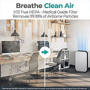 Alen BreatheSmart 45i HEPA Air Purifier With VOC/Smoke Filter, Absorbs Heavy VOCs from Cigarette and Wildfire Smoke. Captures Allergens, Dust, and Mold. Bedrooms, and other rooms up to 800 sq. ft.
