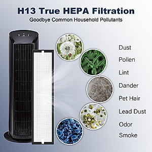 182550 Replacement Filter Compatible with Bionair BAP536UV-U Air Purifier and Holmes HAP537UV / 2141139 Air Purifier, 2 H13 True HEPA and 6 Carbon Pre-Filter