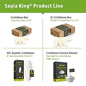 Sepia King - Extra Large - 100% Natural Calcium Supplement - Premium Cuttlebone perfect for Birds, Tortoises, Snails, Reptiles - Pack of 3