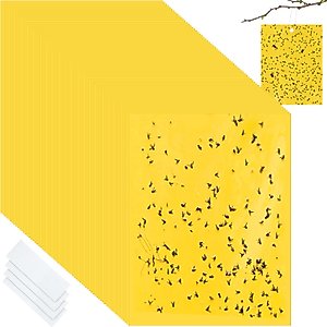 100 Pcs Double Sided Sticky Traps for Flying Plant Insect Like White Flies Aphids 6 x 8 Inch Sticky Gnat Traps Killer Fruit Fly Traps for Indoor Outdoor Including Twist Ties, Yellow