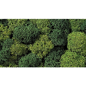 Noch 8610 Lichen Assorted Grn 1oz G,0,H0,TT,N,Z Scale