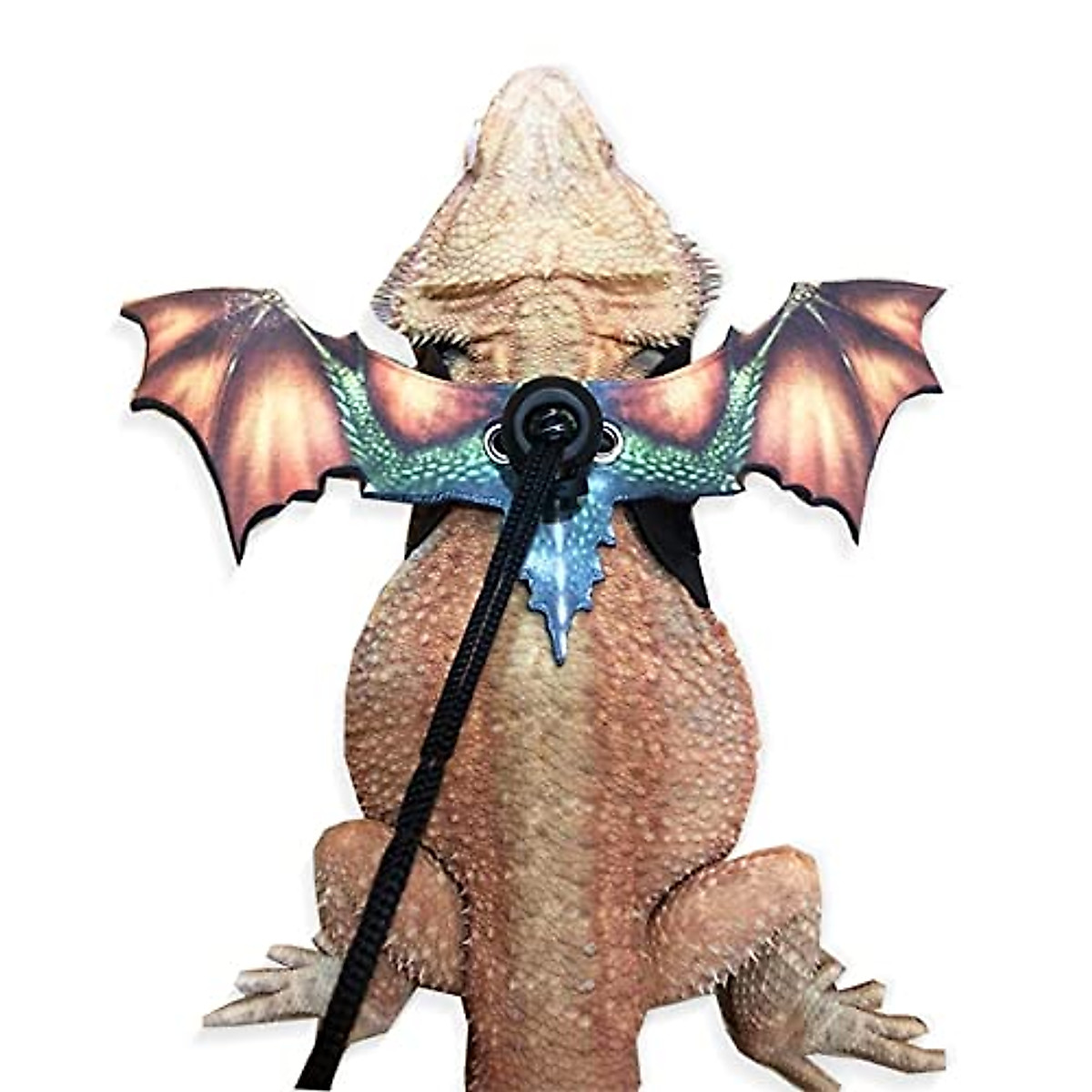 Bearded Dragon Leash, Adjustable Portable Reptile Leash with Cool Wings for Gecko, Bearded Dragon, Chameleon, Iguana, Hamster, Guinea Pig (S+M+L)