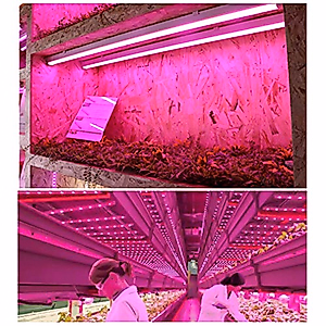 Monios-L [6-Pack] LED Grow Light Strips for Plants 2FT, 60W (6 x 10W) t5 High Output Integrated Fixture Extendable 24 Inches Grow Lights for Greenhouse, Plant Grow Shelf, Easy Installation
