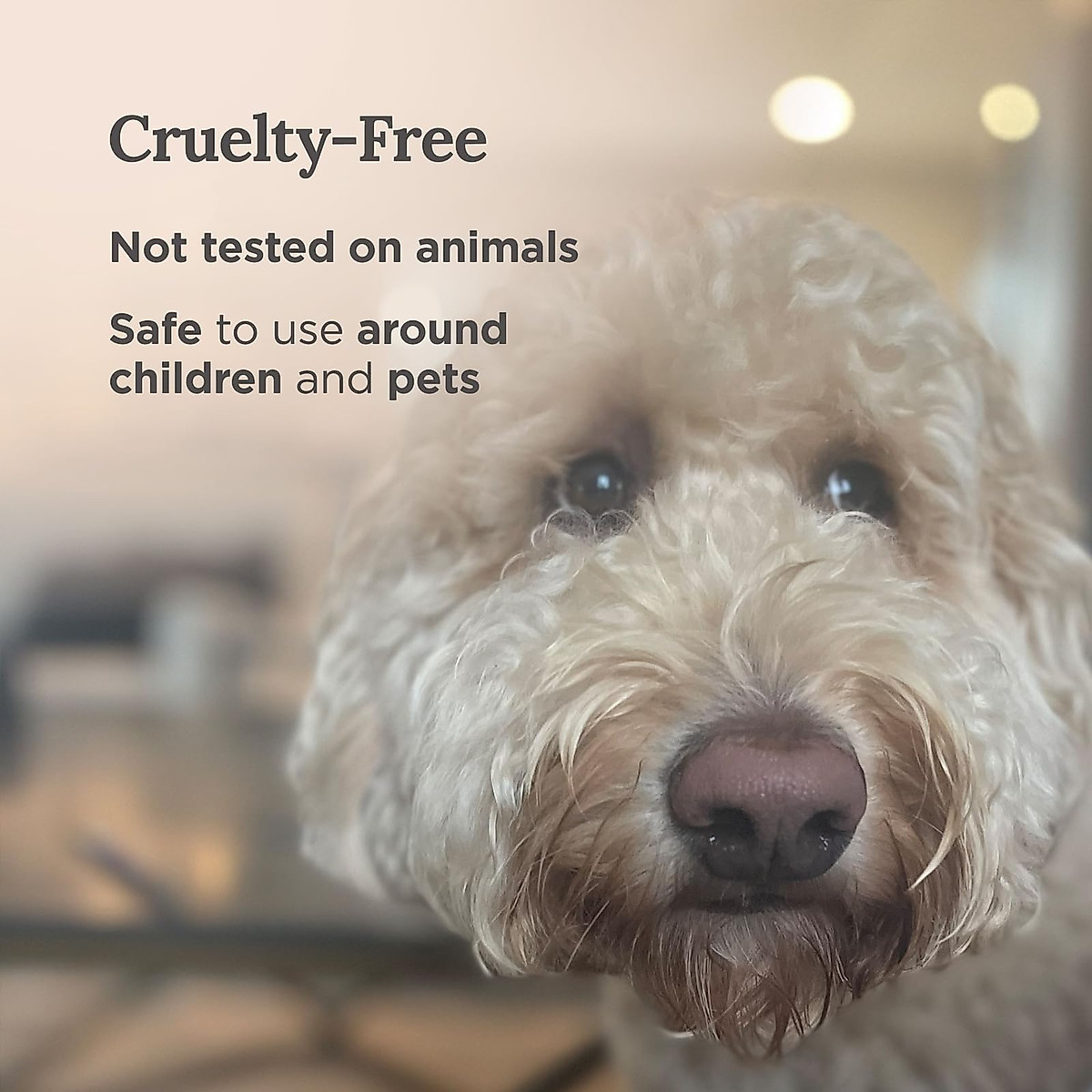 Magnificent 101 Abundance Large Glass Candle 14oz