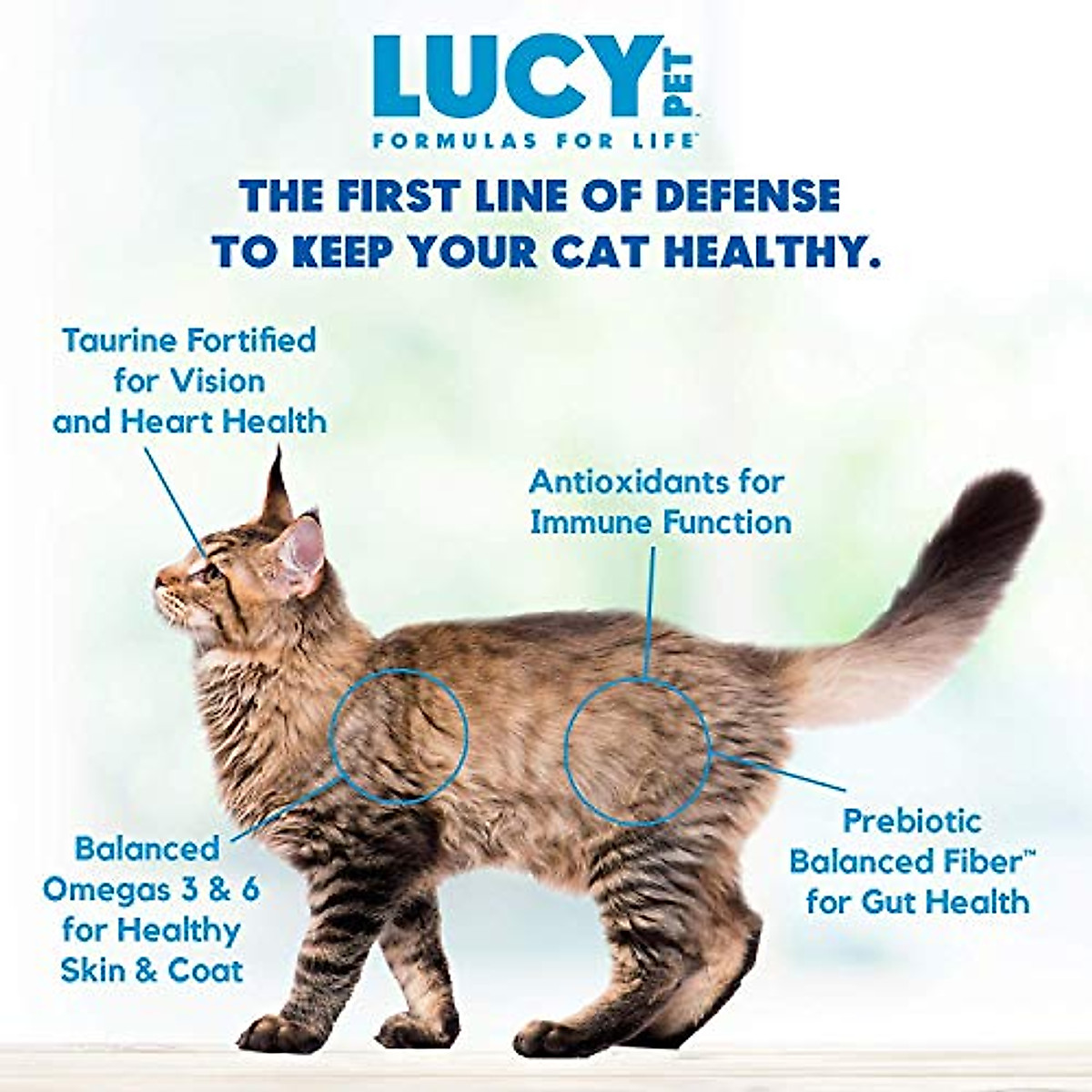 Lucy Pet Cat Salmon, Pumpkin, & Quinoa 10lb