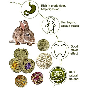 Guinea Pig Toys, Rabbit Toys for 100% Natural Materials, Rabbit Chew Toys for Rabbit Guinea Pig Teeth Grinding, Chinchilla Toys, effectivly Improve Dental Health, Relieve Anxiety (14 Pcs)
