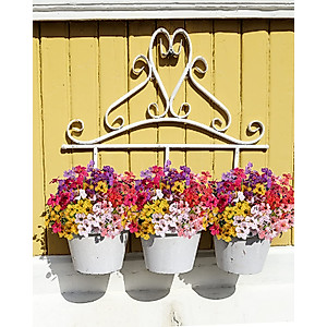 Omldggr 6 Packs Artificial Flowers Faux Violet Flowers Plastic Plant Shrubs Greenery Artificial Violet Flowers for Indoor Outside Garden Patio Porch Window Box Home Wedding Decoration