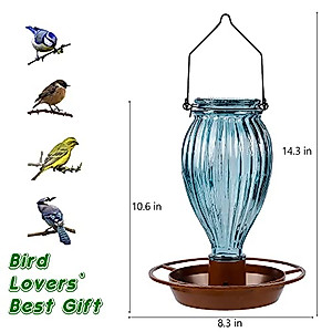 Juegoal Glass Wild Bird Waterer, 37 oz Wild Bird Feeder for Outdoors, Diamond Shaped Water Cooler with Metal Handle Hanging for Garden Tree Yard Outside Decoration, Gray-Blue