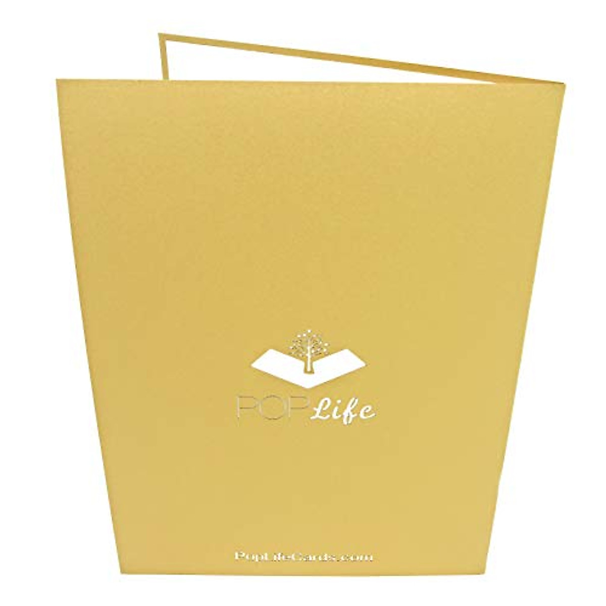 PopLife Beehive and Honeypot Pop Up Card for your HONEY! - Mothers Day Pop Up, Anniversary Card, Happy Birthday, Just Because, Gift for Her - Husband for Wife, for Daughter, for Son, for Grandkids