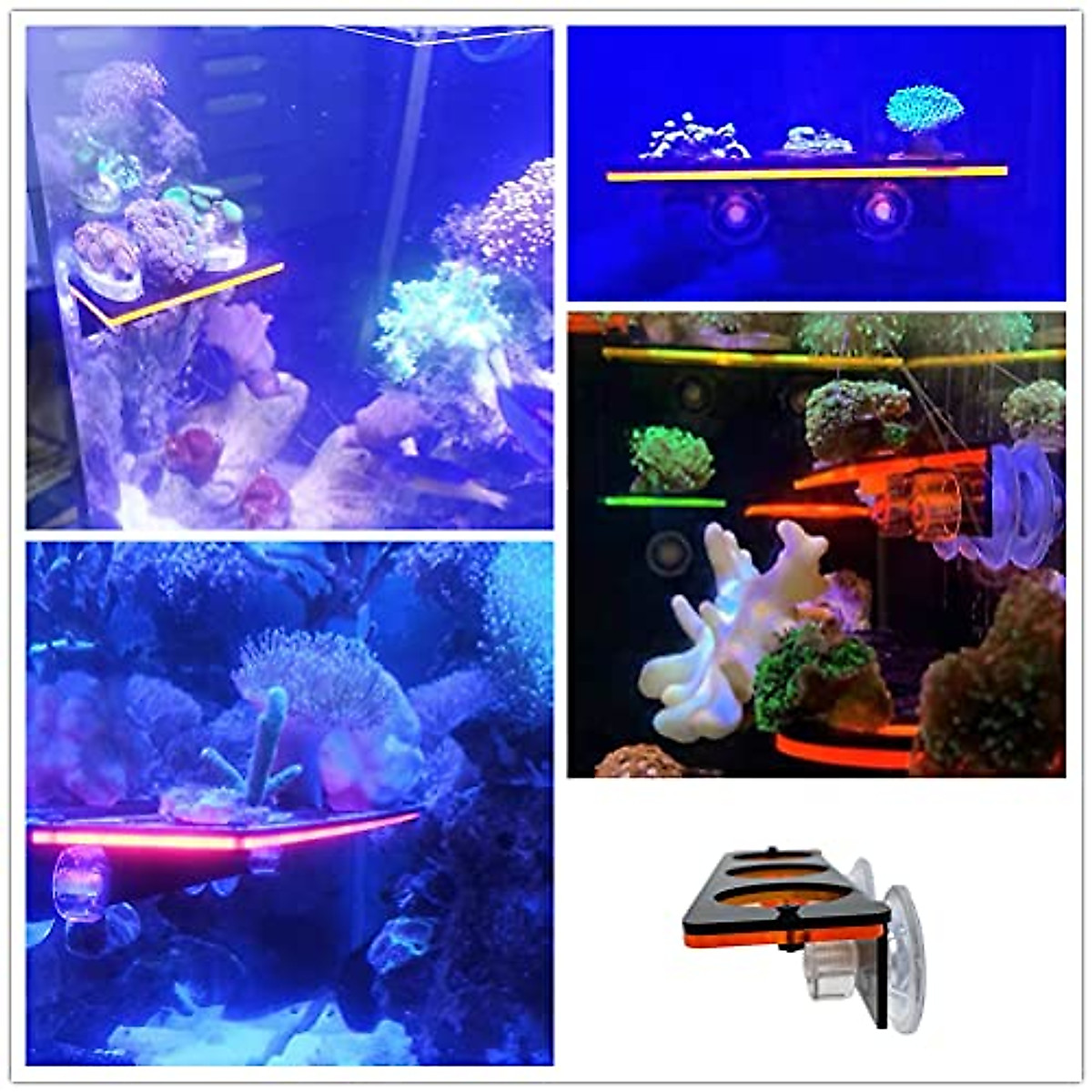 Coral Frag Holder Acrylic Coral Rack with Powerful Double Suction Cup and Placstic Screws Suitable for Household Fish Tanks (2pcs 3 Plug Hole,Fluorescent Green and Orange)