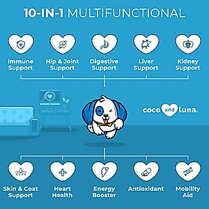 10 in 1 Multivitamin for Dogs - 120 Chewable Tablets - Hip and Joint Support with Glucosamine and Chondroitin - Omega Fish Oil & Vitamins with Coq10 for Skin & Heart Health, Gut & Immune Support