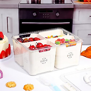 PYQTH Fruit Storage Containers for Fridge, Portable Divided Food Storage Containers with Lid and Handle, BPA-Free Saver Refrigerator Food Organizer Bins with 1 Brush for Veggies Fruit, 4 Compartments