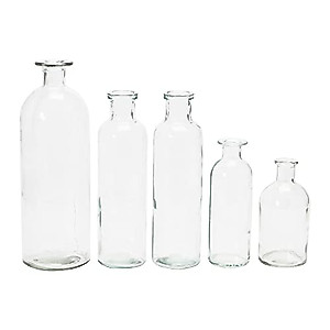 Creative Co-Op Wood Glass Bottle, Set of 5 Sizes Vase Set, Black Tray