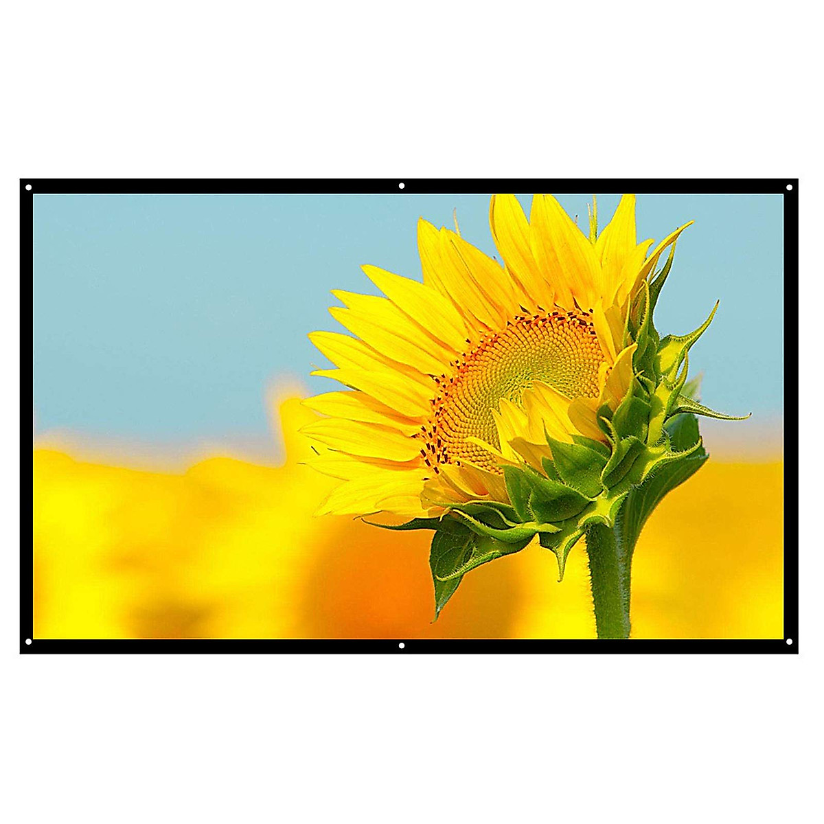 H70 70'' Portable Projector Screen HD 16:9 White Dacron 70 Inch ...