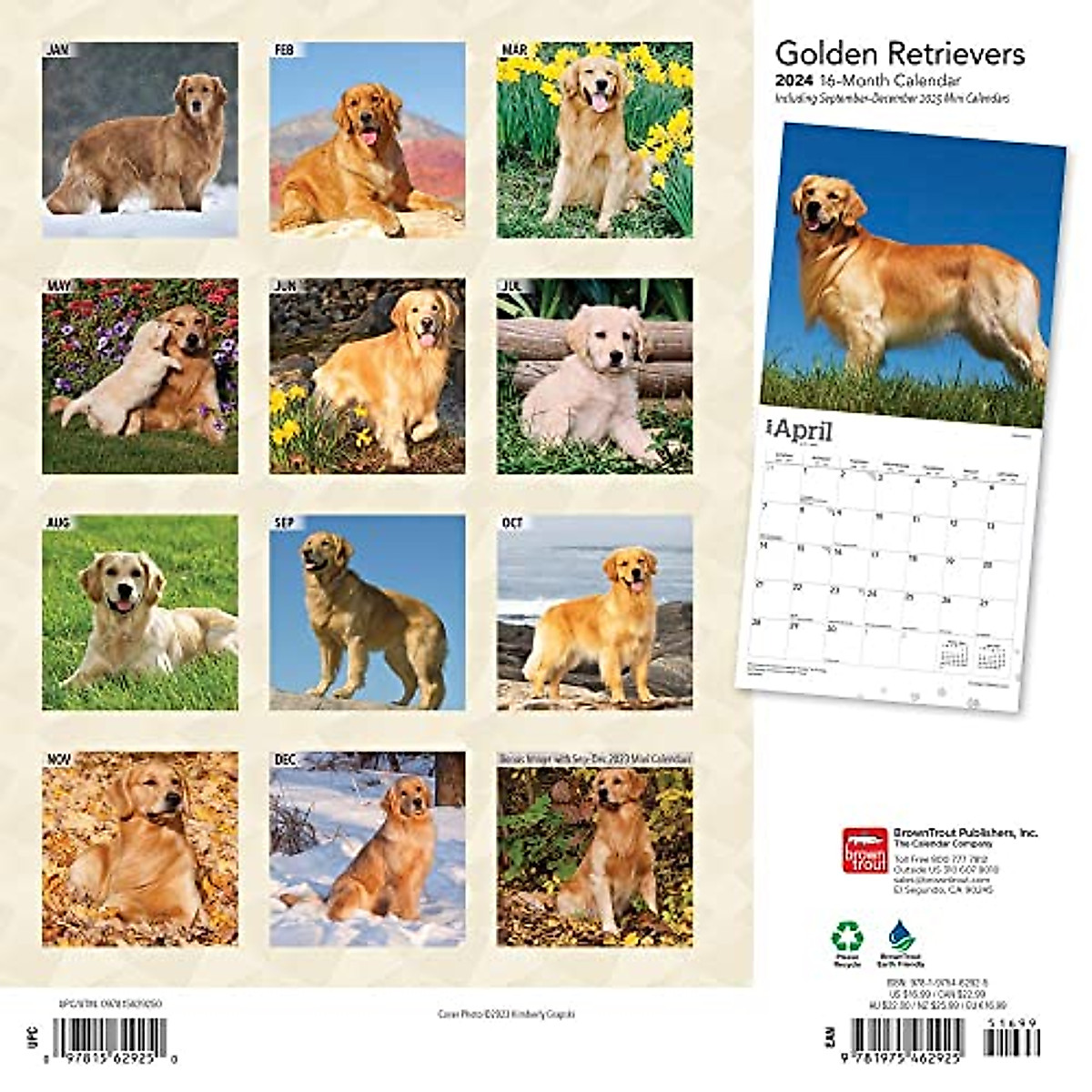 Golden Retrievers | 2024 12 x 24 Inch Monthly Square Wall Calendar | Foil Stamped Cover | BrownTrout | Animals Dog Breeds Retriever
