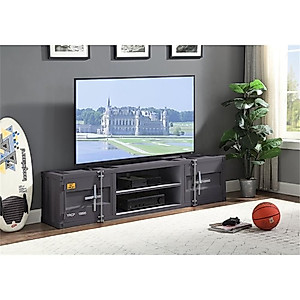 Acme Cargo 2-Door Metal Frame TV Stand with Shelves in Gunmetal