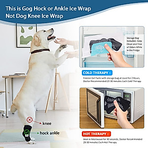 Hilph Dog Ice Pack for Rear Leg Hock,Cooling Hock Wraps with 2 Gel Ice Packs, Cold and Heat Compression Therapy for Dogs Hock Injuires, Dog Joint Pain, Sprains and Post Surgery Recovery (Large)