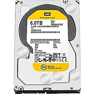 WD Se Datacenter Capacity HDD 6TB 7200 RPM SATA 6Gb/s 128MB-Cache 3.5-Inch Enterprise Hard Disk Drive - WD6001F9YZ (Renewed)