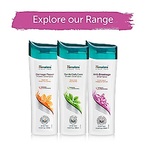 Himalaya Anti- Breakage Shampoo, Repairs Damaged, Brittle Hair and Split-ends, 13.53 oz/400 ml, Pack of 2