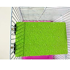 Litewoo Bird Perch Grinding Stand for Bird Parrot Budgie Parakeet Cockatiel Conure Lovebird Finch（5.1" x 3.5"）