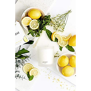 APOTHEKE Market Collection Luxury Scented Jar Candle, Meyer Lemon & Mint, 11 oz - Lemon, Spearmint, Jasmine & Eucalyptus Scent, Strong Fragrance, Aromatherapy, Lasting, Hand Poured in USA, Soy Wax