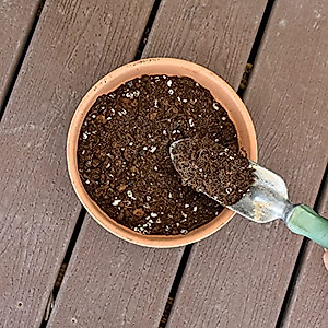 Anthurium Plant Potting Soil Mix (4 Quarts), Indoor Houseplant Custom Blend for Flowering Anthuriums