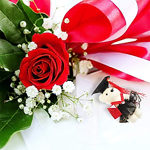 TOYANDONA 10pcs Mini Graduation Bears, 4. 7 inch Plush Graduation Bear Stuffed Animal for Graduation Gift