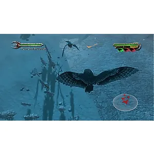 Legend of the Guardians: The Owls of Ga'Hoole - Nintendo DS