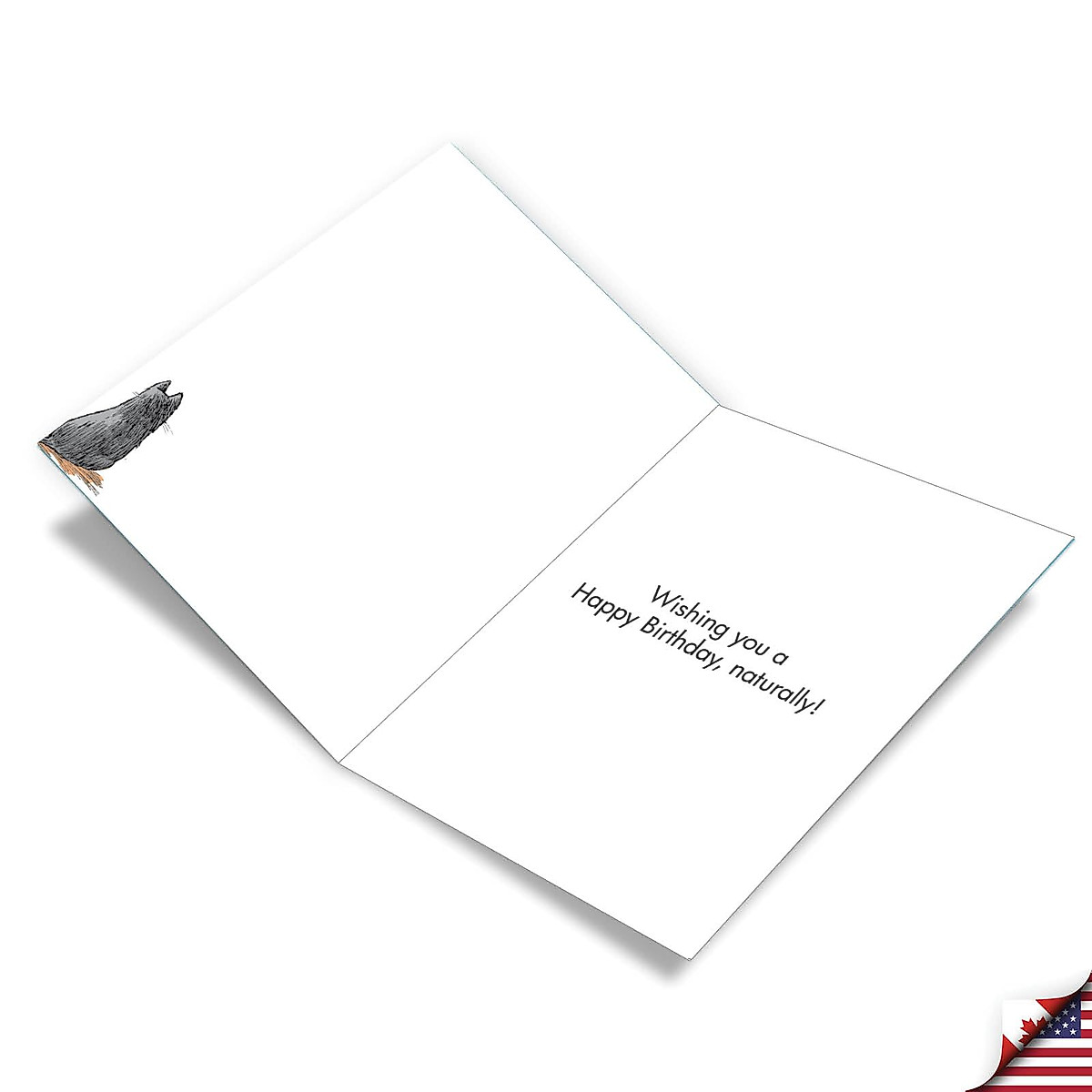 The Best Card Company - Funny Cartoon Stationery Set for Birthdays with Envelope (Letterhead 8.5 x 11 Inch) - Hole Foods J2684BDG