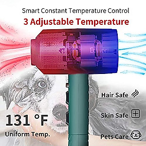 IONE Dog Cat Hair Dryer,Professinal Double Force Grooming Blower Dryer for Medium/Small Pets,IEC & UL Certificated (Deep Green)
