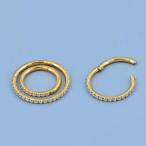 OUFER Gold Hinged Segment Earring Hoop 16G Stainless Steel with Cartilage Earrings Clear CZ Paved Tragus Helix Earrings Cartilage Earring Septum Nose Ring Hoop