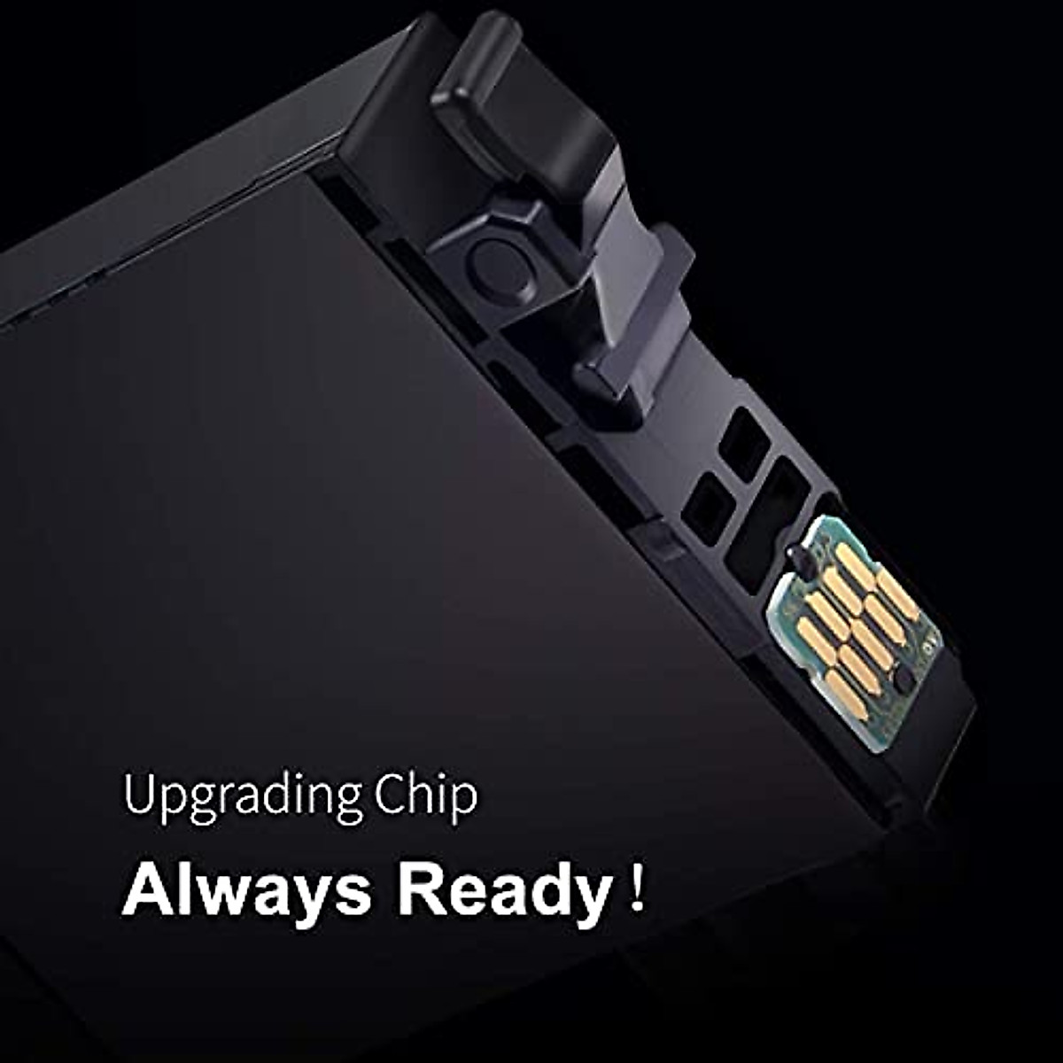 MYTONER Remanufactured Ink Cartridge Replacement for Epson 200XL 200 XL T200XL ink for XP-200 XP-300 XP-310 XP-400 XP-410 WF-2520 WF-2530 WF-2540 printer(4 Black, 2 Cyan, 2 Magenta, 2 Yellow, 10-Pack)