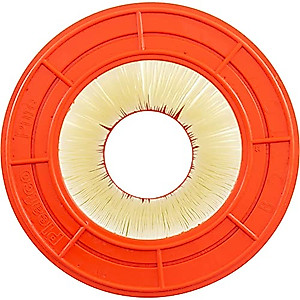 Pleatco PAP200-4 Replacement Cartridge for Predator 200 - Pentair Clean and Clear 200, 1 Cartridge