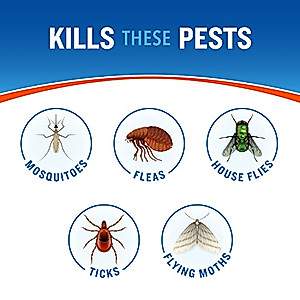 Cutter Backyard Bug Control Spray Concentrate (6 Pack), Kills Mosquitoes, Fleas & Listed Ants, 32 fl Ounce