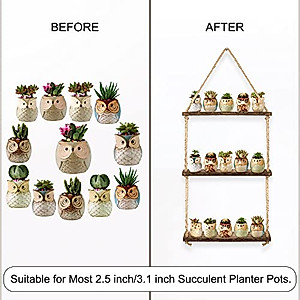 Mukkum Window Plant Hanging Shelves 3 Tier Window Wall Hanging Shelf for Plant Photo Frames Decorations Display Decor for Window Kitchen Bathroom Bedroom(Rustic Brown)