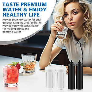 Water Filter Replacement Compatible with Berkey Water Filter System, BB9-2 Filter Replacement & PF-2 Fluoride Filters Compatible with Berkey Big, Light, Imperial, Travel, Crown, Royal Series (4 pack)