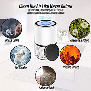Flintar H13 True HEPA Replacement Filter, Compatible with LV-H132 Air Purifier, Part # LV-H132-RF, 2-Pack