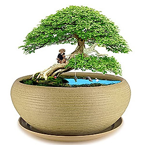 MUZHI 10” Round Large Ceramic Bonsai Bowl Planter，Clay Succulent Plant Pot Container with Saucer
